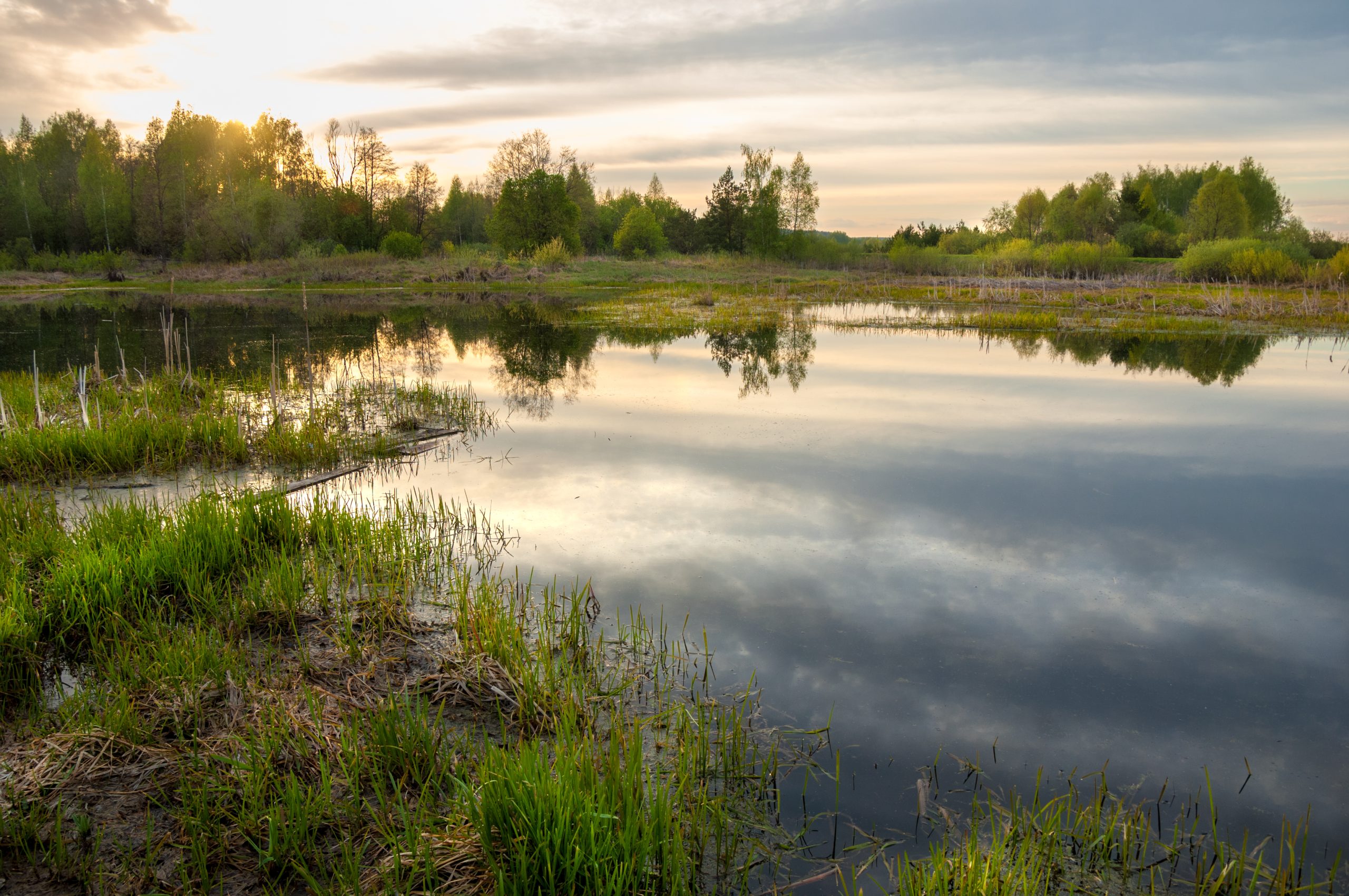 Update on Navigable Waters Protection Rule - ESE Partners Environmental ...