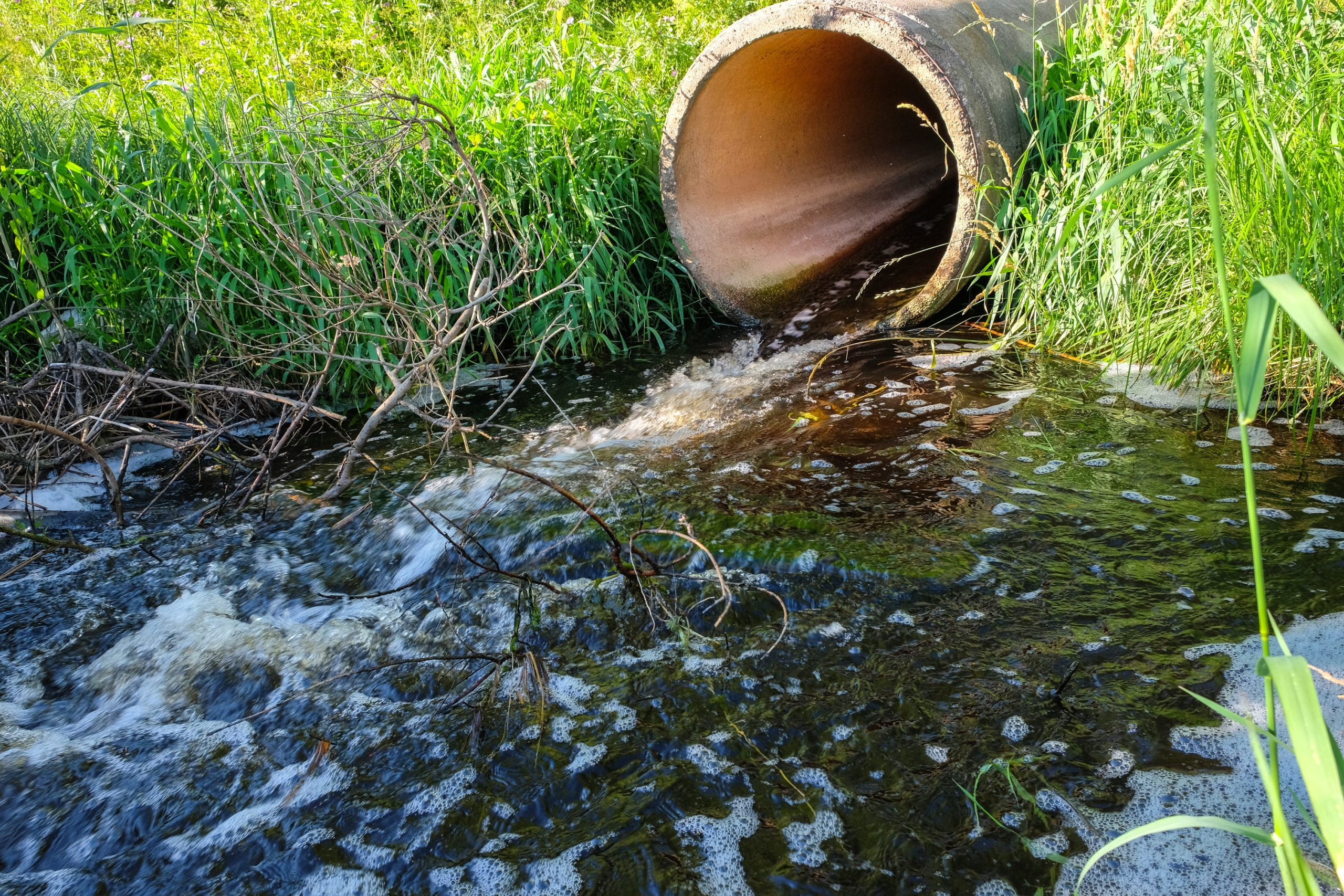 Water Compliance - ESE Partners the Premier Provider