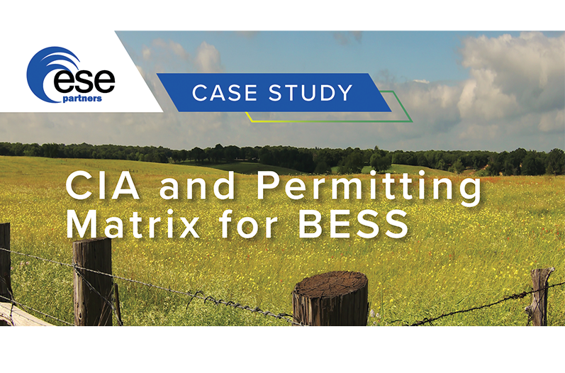 CIA and Permitting Matrix for BESS